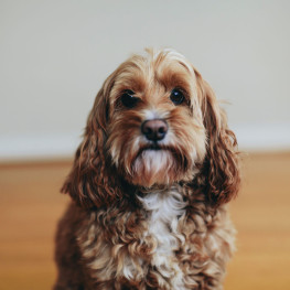 Jak urządzić domowe spa? - edithome.pl